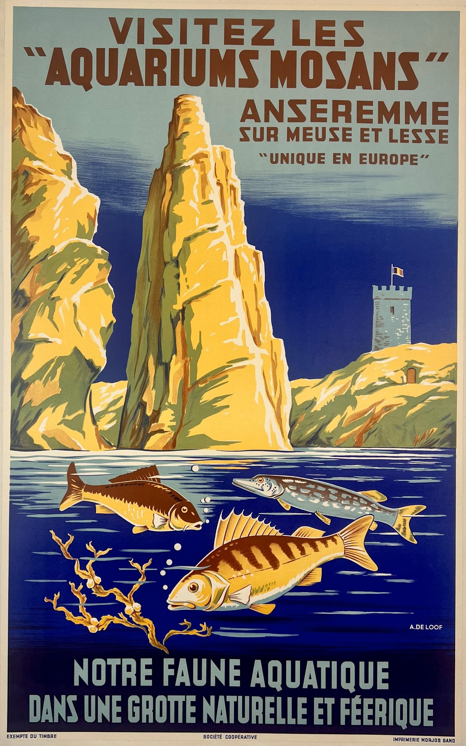 Visitez Les Aquariums Mosans, Original Vintage Poster - Authentic ... Visitez Les Aquariums Mosans, Original Vintage Poster - Authentic ...