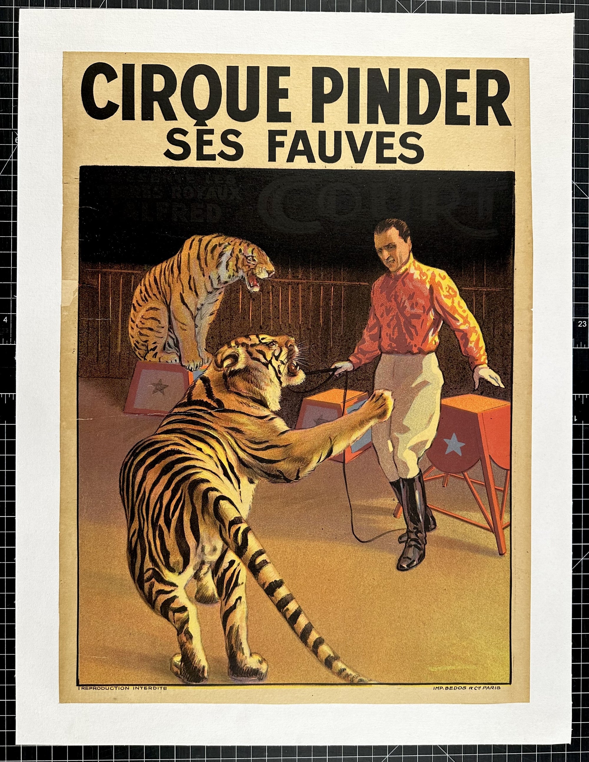 Cirque Pinder- Wild Animals - Authentic Vintage Posters