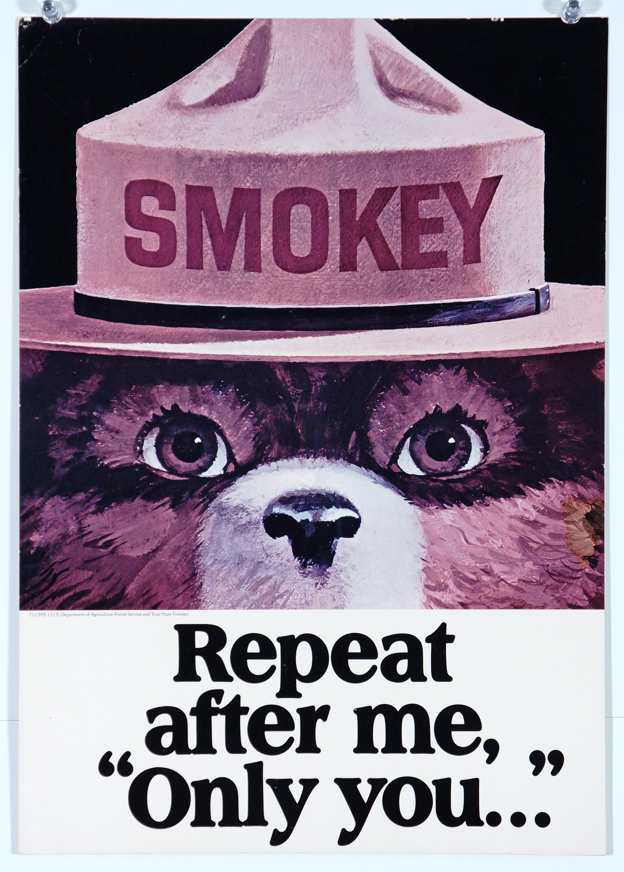 Animals Smoking Cigarettes Poster