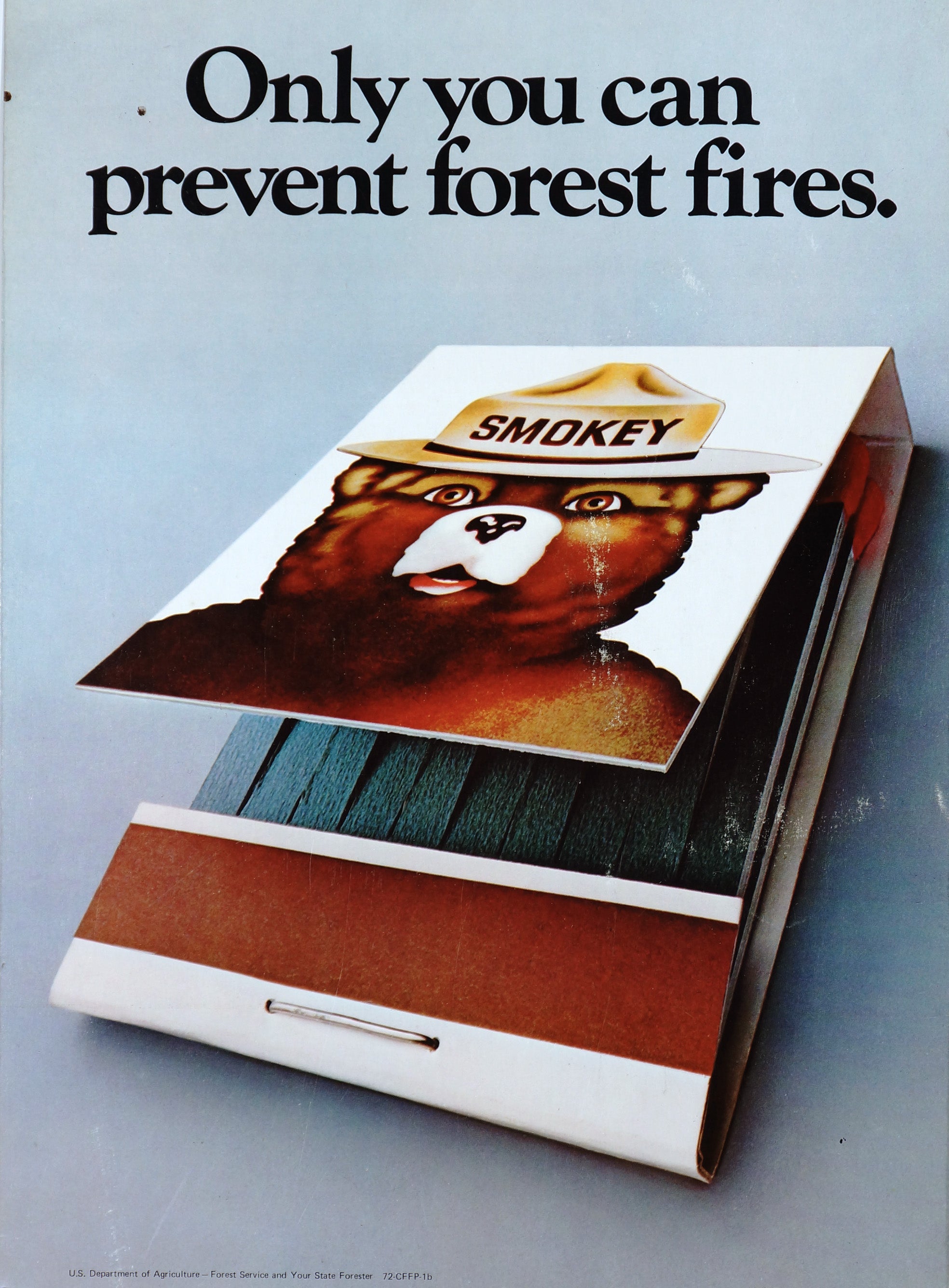 Authentic Vintage Window Card | Only You Can Prevent Forest Fires