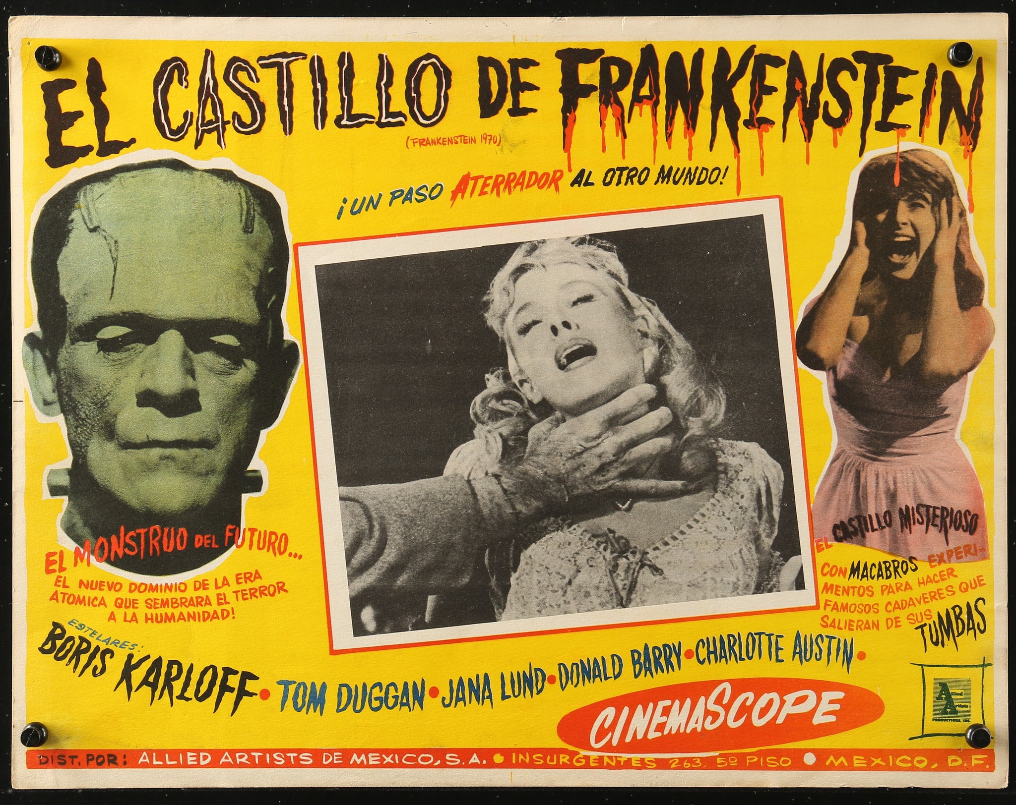 Frankenstein- Original Vintage Poster - Authentic Vintage Posters